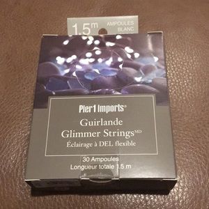 Pier 1 | Accents | Nwt Pier Led Lights | Poshmark